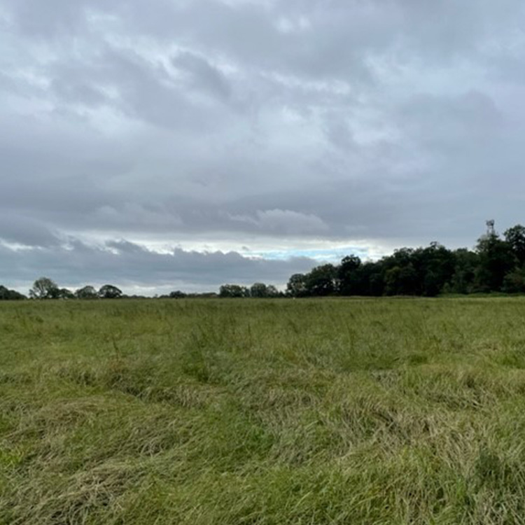 Reading Sponsorship - Walk for Wards 2023 was a success! | Community ...